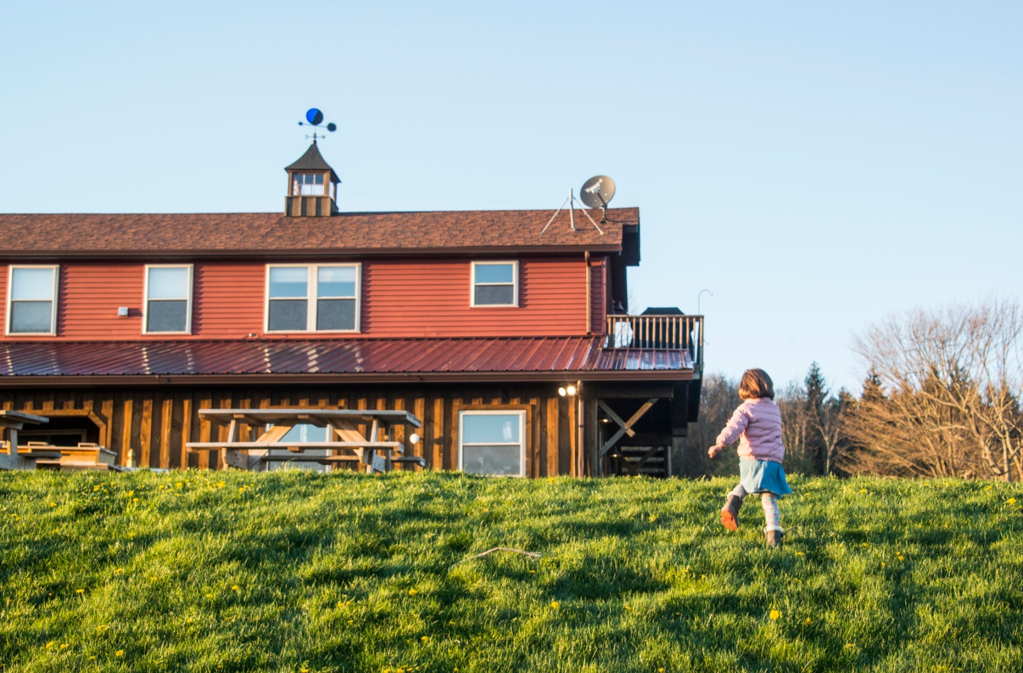 BOOK & VISIT – Buck Brook Alpacas