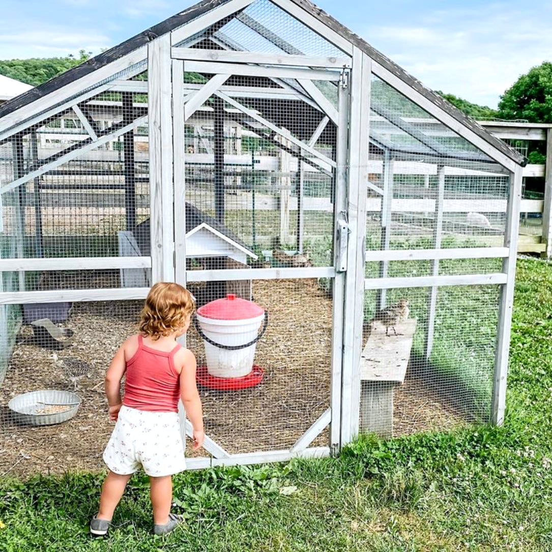 Schedule Your Visit – Buck Brook Alpacas