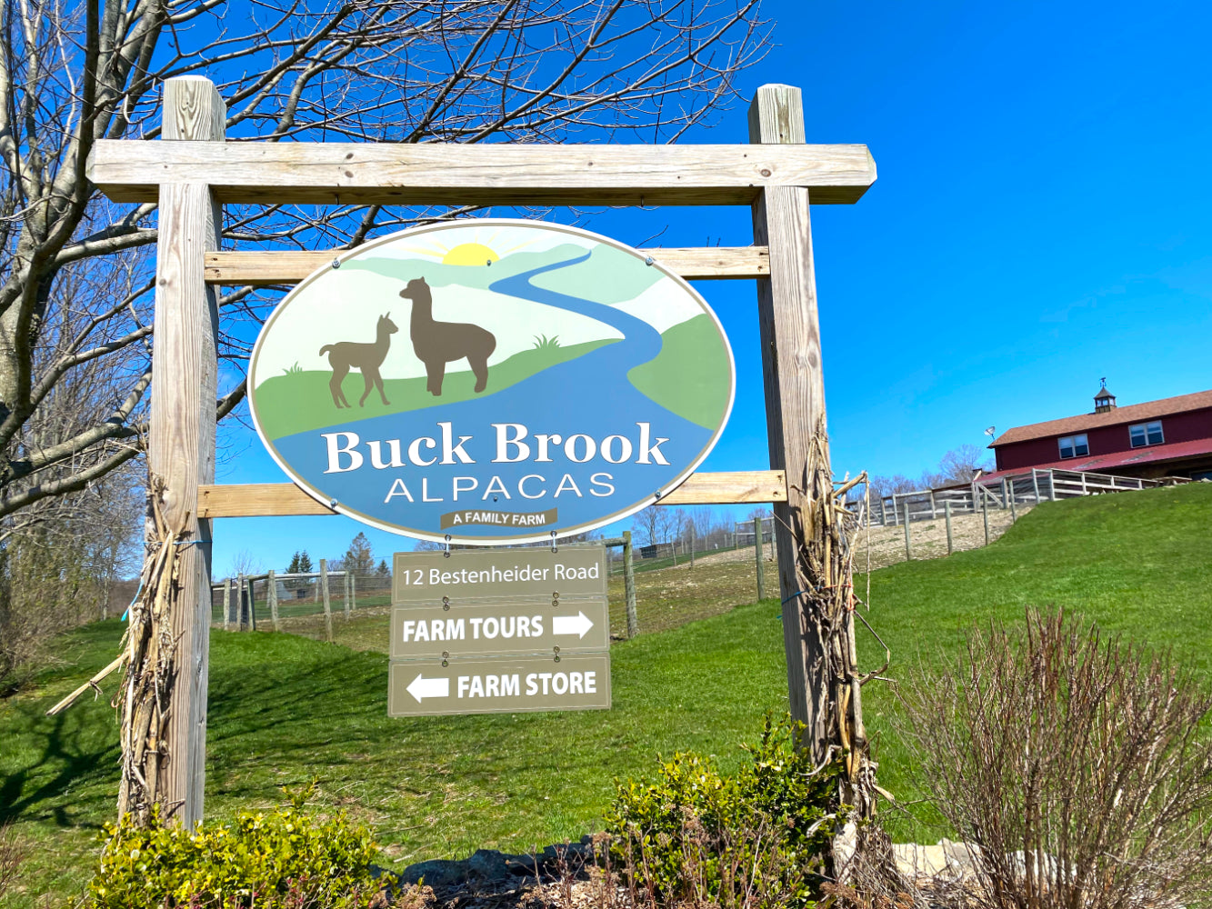 BOOK & VISIT – Buck Brook Alpacas