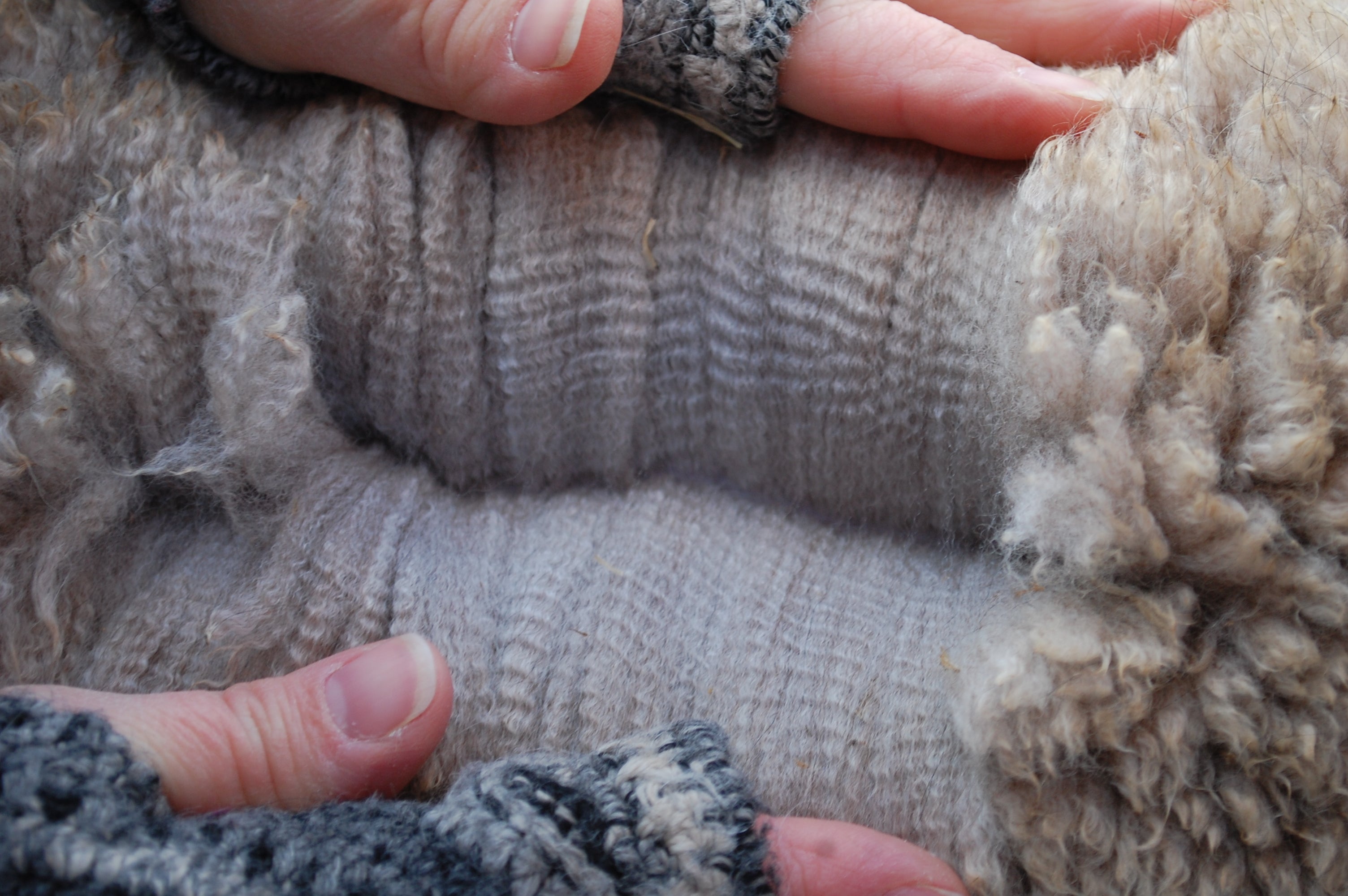 Schedule Your Visit – Buck Brook Alpacas