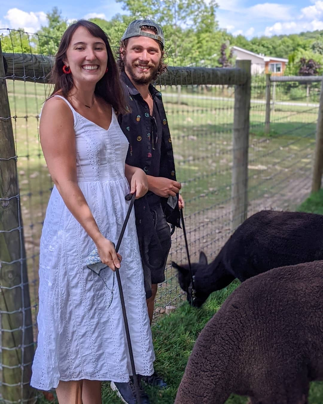 BOOK & VISIT – Buck Brook Alpacas