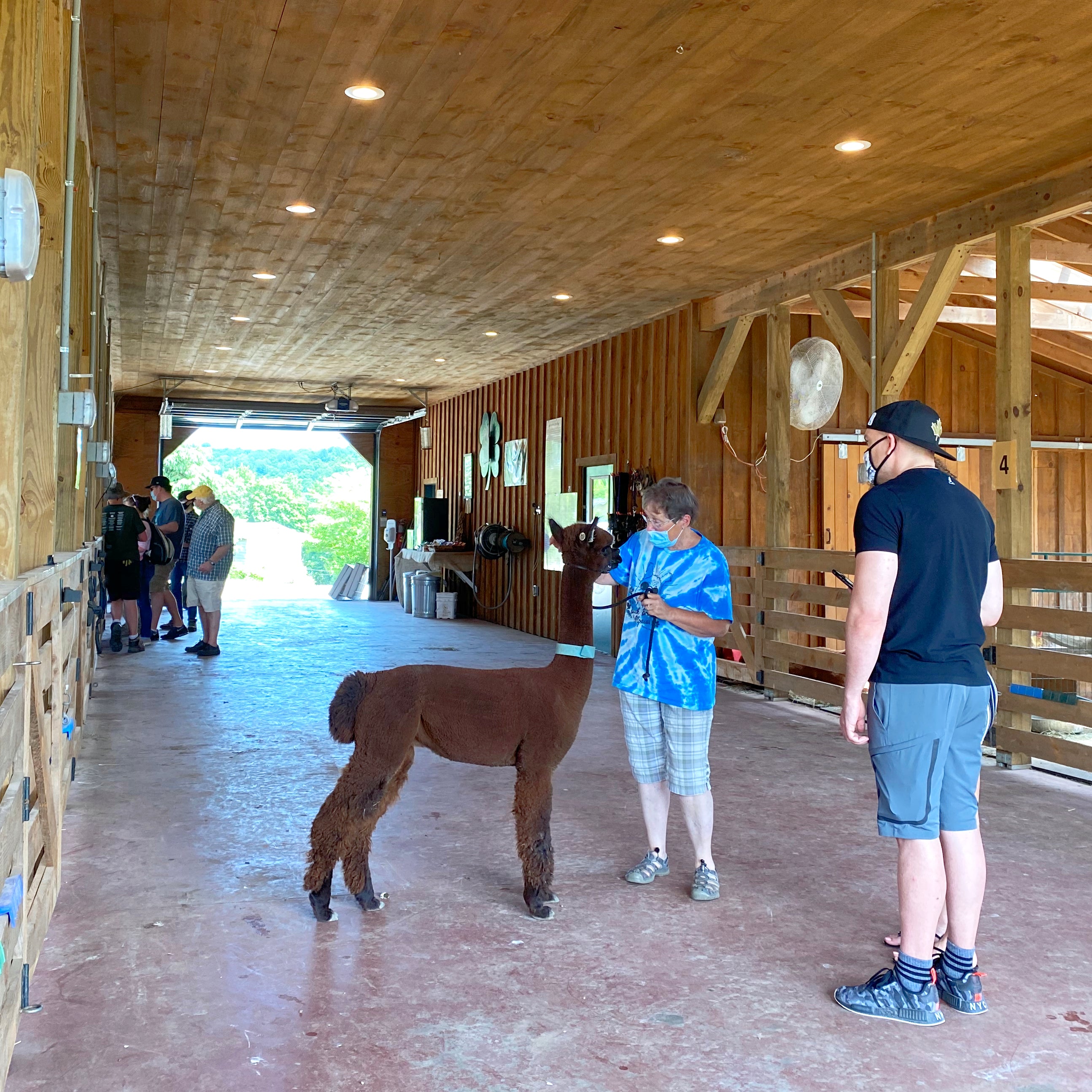 Schedule Your Visit – Buck Brook Alpacas